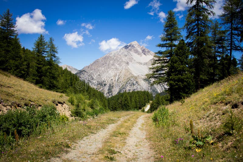 Chemin De Montagne Rocheuse Image stock - Image du montagne, déchiqueté ...