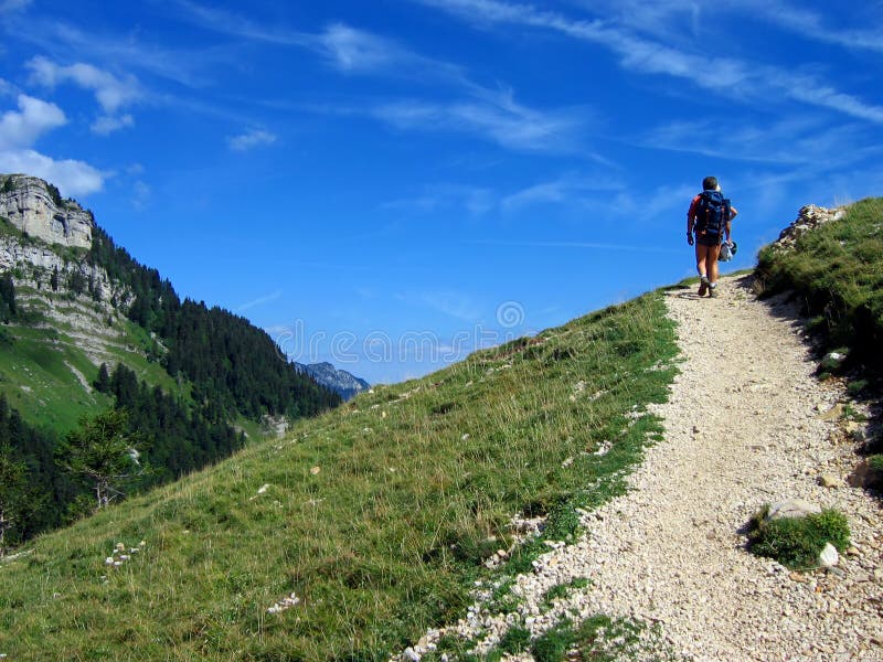 Sentier de montagne photo stock. Image du tractions, horizontal - 2264190