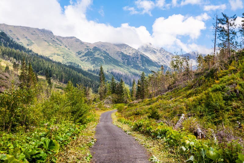 Chemin de montagne photo stock. Image du herbe, voie, traînée - 2264190