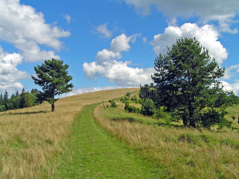 Le Chemin De Montagne à Travers Le Champ Se Tourne Vers Le Haut Vers ...