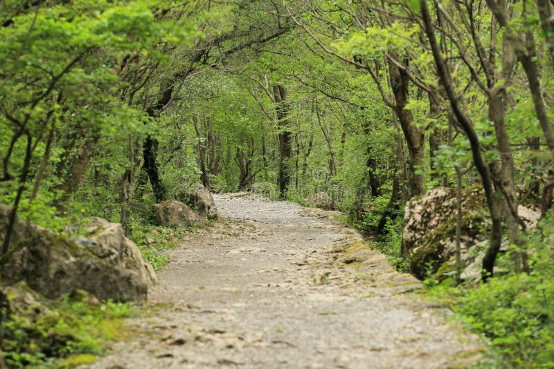 Chemin de montagne photo stock. Image du paisible, alpes - 38496834