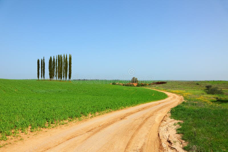 Chemin De Terre Rural Entre Les Champs Verts Image stock - Image du ...