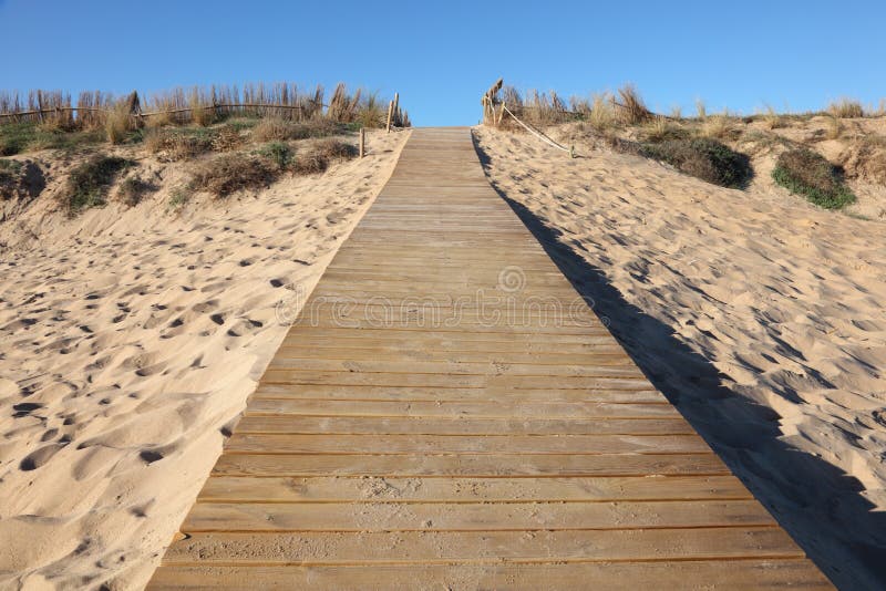 Chemin de dune de sable image stock. Image du horizontal - 274513