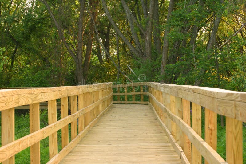 Chemin En Bois Image. Image: 913874