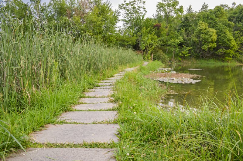 Chemin en pierre de zen photo stock. Image du footpath - 29367662