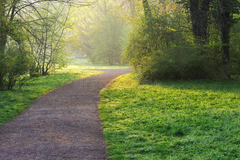 Chemin Ensoleillé du Parc image stock. Image du personne - 18172113
