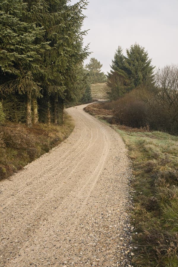 Chemin forestier photo stock. Image du route, couleur - 7665734