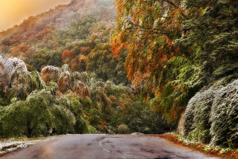 Chemin Forestier En Automne Image stock - Image du neige, icily: 34132255