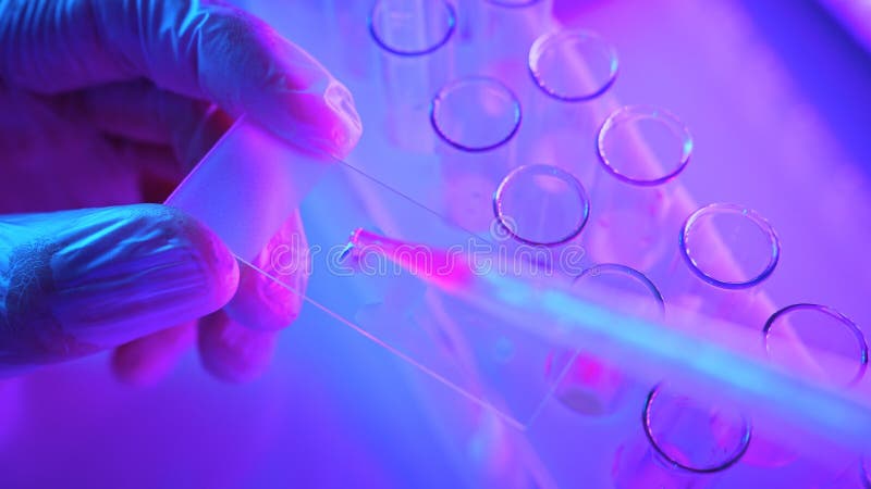 Analyzing Chemicals in Neon Purple Light Using Advanced Laboratory ...