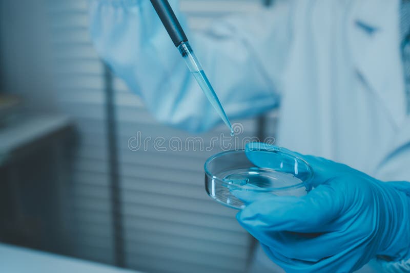 A Chemist Examines a Sample of a Liquid in a Laboratory, a Laboratory ...
