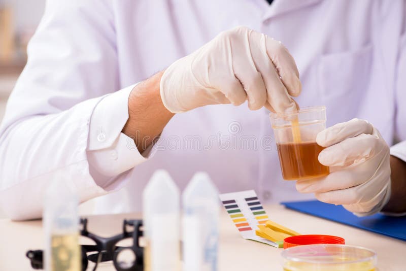 The Chemist in the Lab Checking with Ph Strips Stock Photo - Image of ...