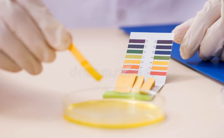 Biochemical Test Strips Stock Photos - Free & Royalty-Free Stock Photos ...