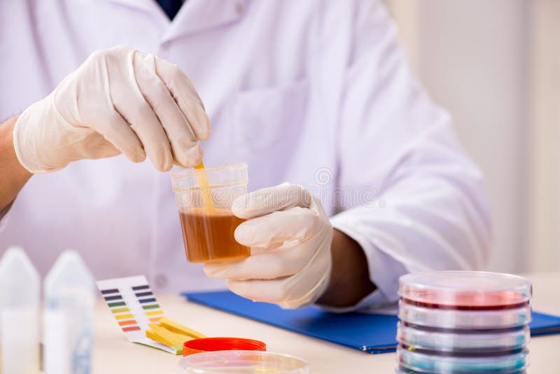The Chemist in the Lab Checking with Ph Strips Stock Photo - Image of ...