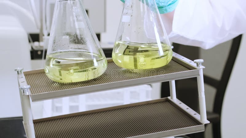 Samples Shaking on the Laboratory Shaker, Preparing Them for Further ...