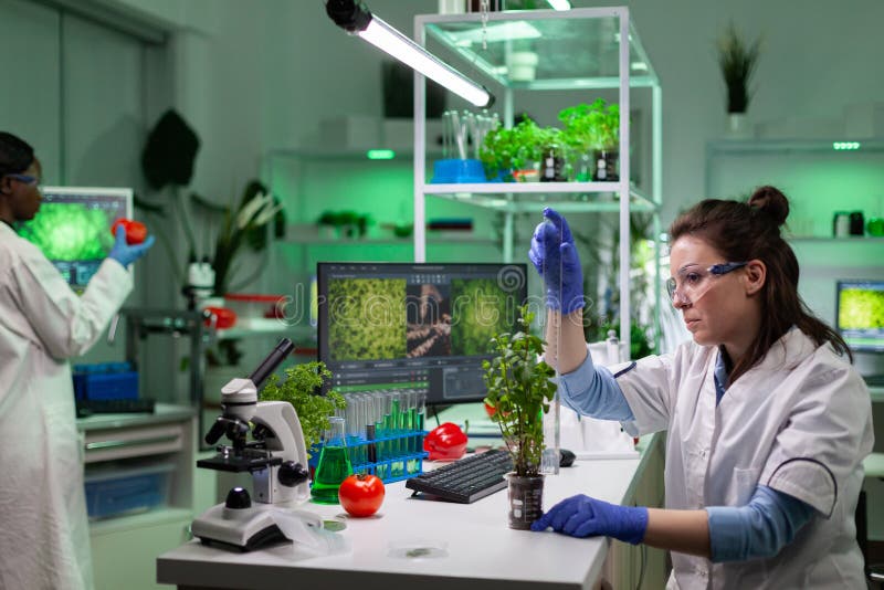 Chemist Researcher Woman Measuring Green Sapling Using Ruler Stock ...