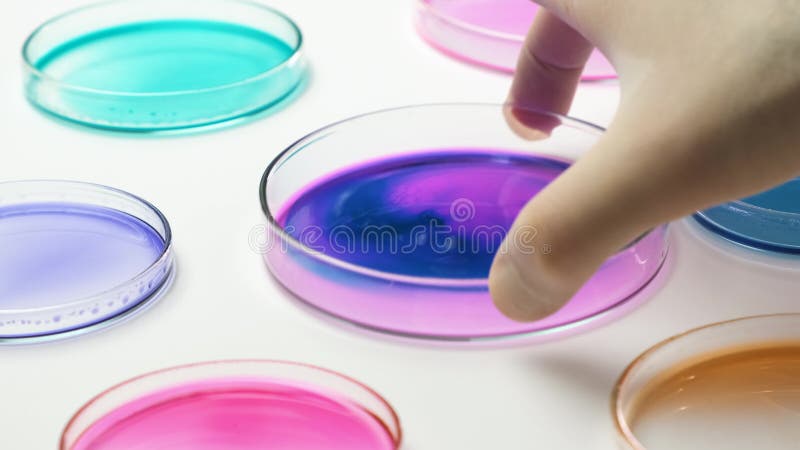 Chemist Shakes Samples in Petri Dish. Stock Video - Video of hand ...