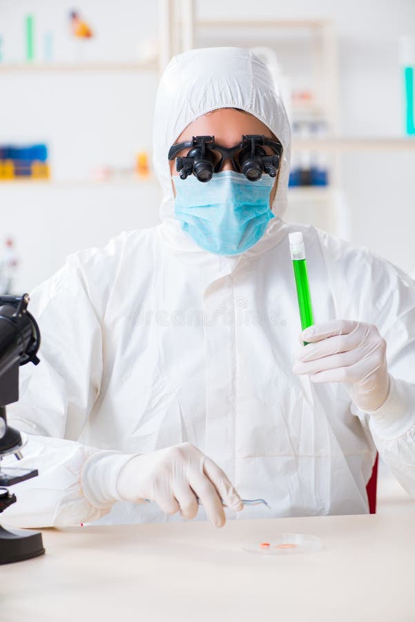 The Chemist Working on Cannabis Extract for Medical Purposes Stock ...