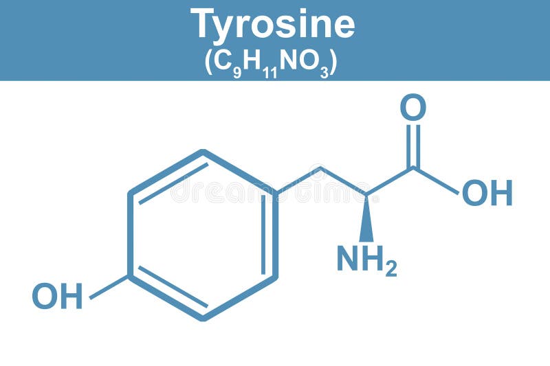 Chemistry Illustration of Tyrosine in Blue Stock Illustration ...