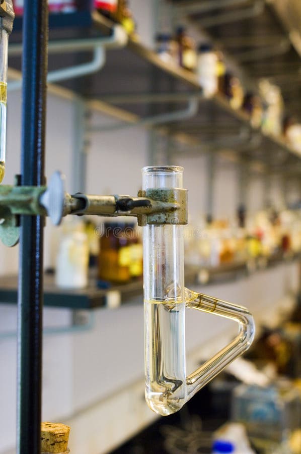 The falcon stock photo. Image of land, prey, depredate - 1364654