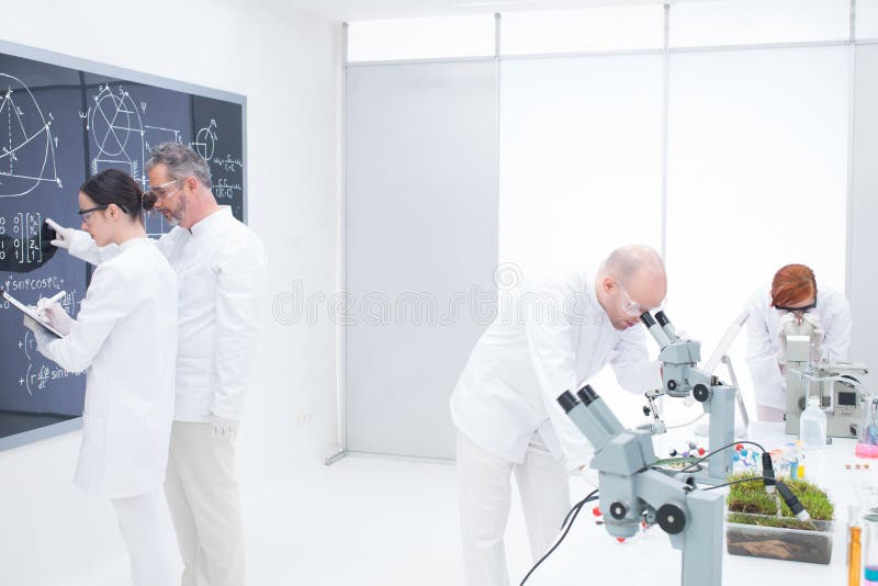 Chemistry lab lessons stock image. Image of blackboard - 31258607