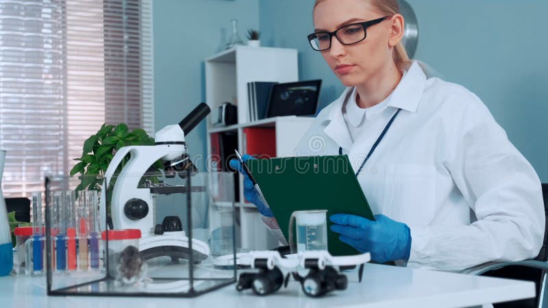 In Chemistry Laboratory Research Scientist Making Observations of Lab ...