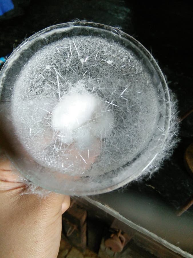 Chemistry practical stock photo. Image of salt, white - 128907498