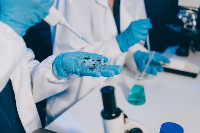 Chemists in a Lab Developing Cosmetic Products, Testing and Analyzing ...