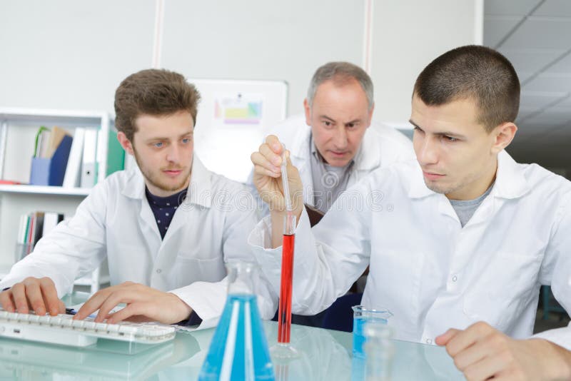 Chemists in Laboratory Class Looking at Test Tube with Solution Stock ...