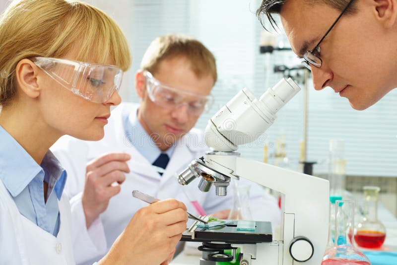 Chemists at work stock image. Image of chemist, clinic - 23454351
