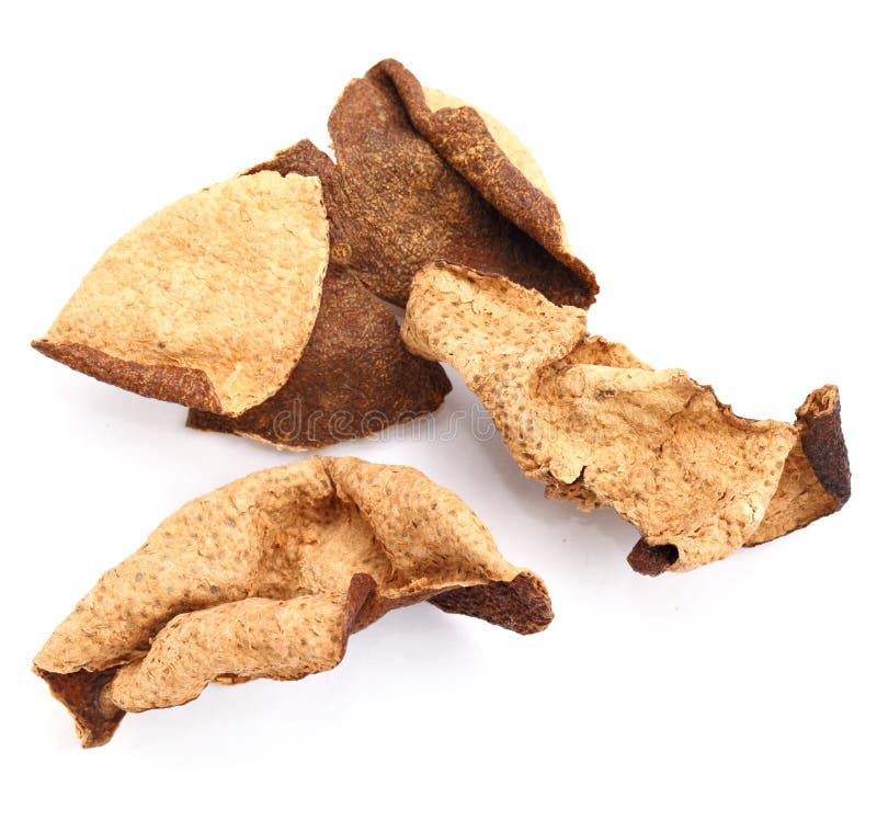 Chen pi stock photo. Image of ingredient, asian, healthy - 23831656