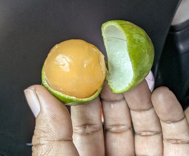 Chennette Fruit stock image. Image of lifestyle, cuisine - 328528731