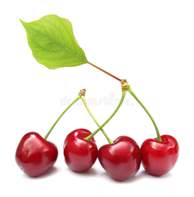 181 Cheries Photos - Free & Royalty-Free Stock Photos from Dreamstime