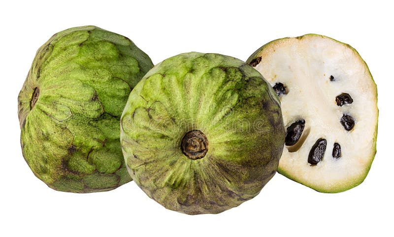 Cherimoya fruit isolated stock photo. Image of ripe - 117050202