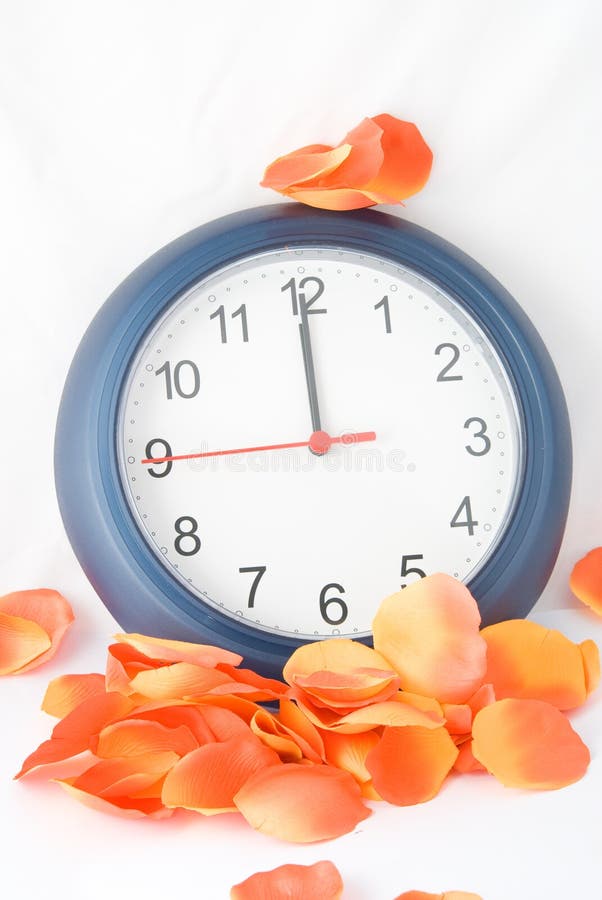 Cherish the time stock photo. Image of petal, treasure - 5531886