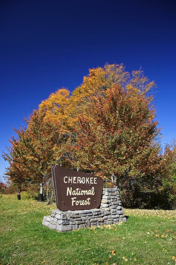 Cherokee National Forest stock image. Image of tennessee - 16643961