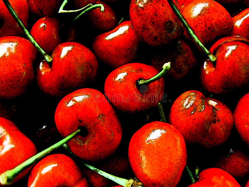 Cherries stock photo. Image of kitchen, cherries, food, juicy - 10454