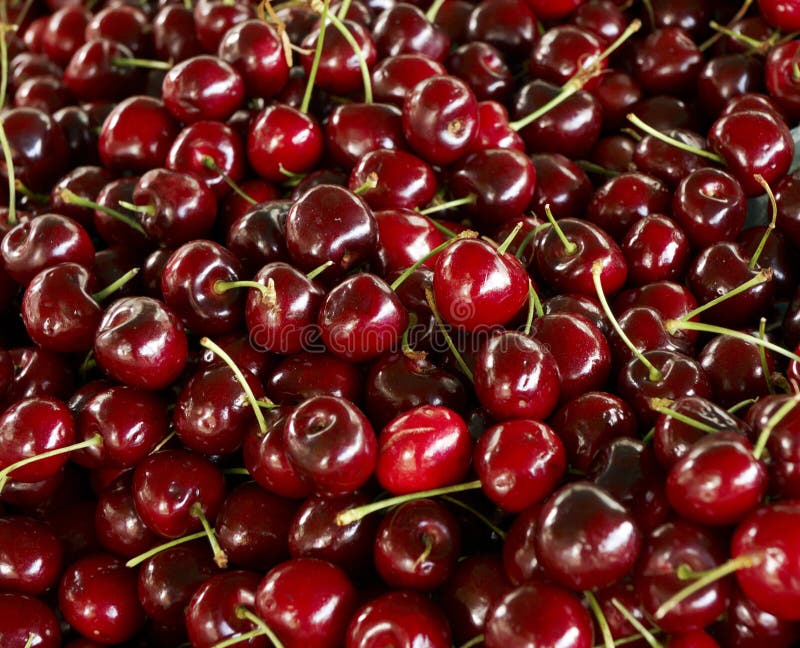 Cherries stock photo. Image of nice, fresh, abstract - 10628480