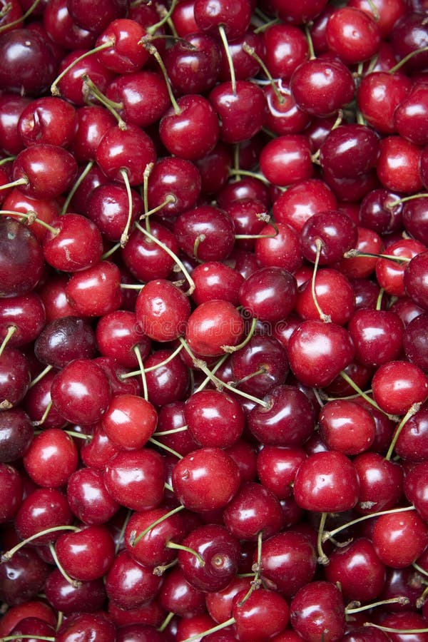 Cherries stock image. Image of stem, food, healthy, background - 12138471