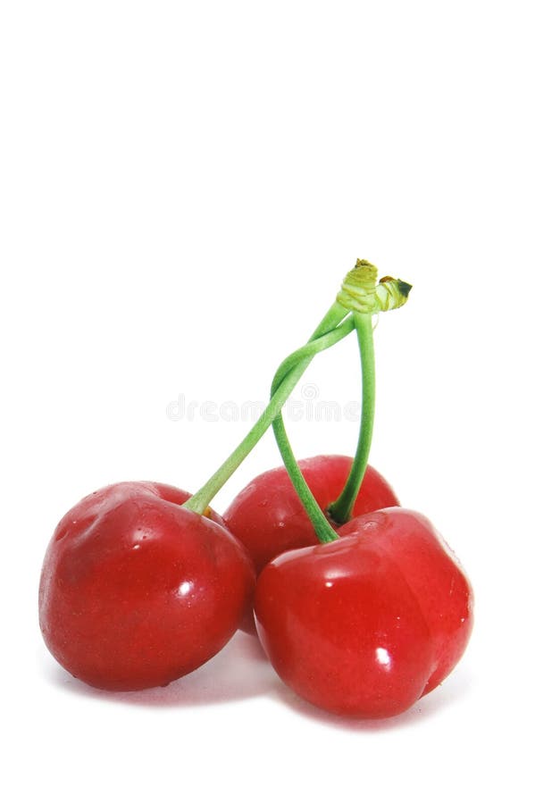 Cherries stock photo. Image of clean, three, ripe, cherry - 19770122