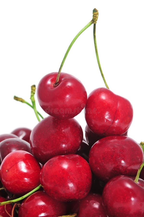 Fresh cherries stock photo. Image of fruit, cherries, food - 5399424