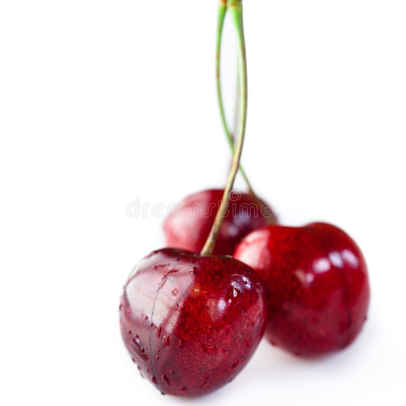 Cherries stock photo. Image of fruits, summer, juicy - 14989134