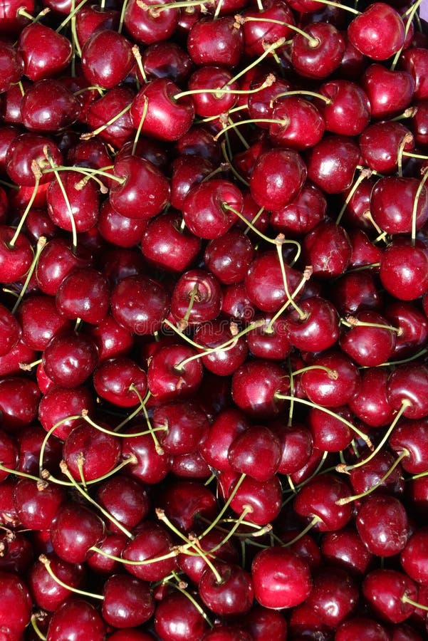 Cherries stock image. Image of enjoy, black, healthy - 15412407