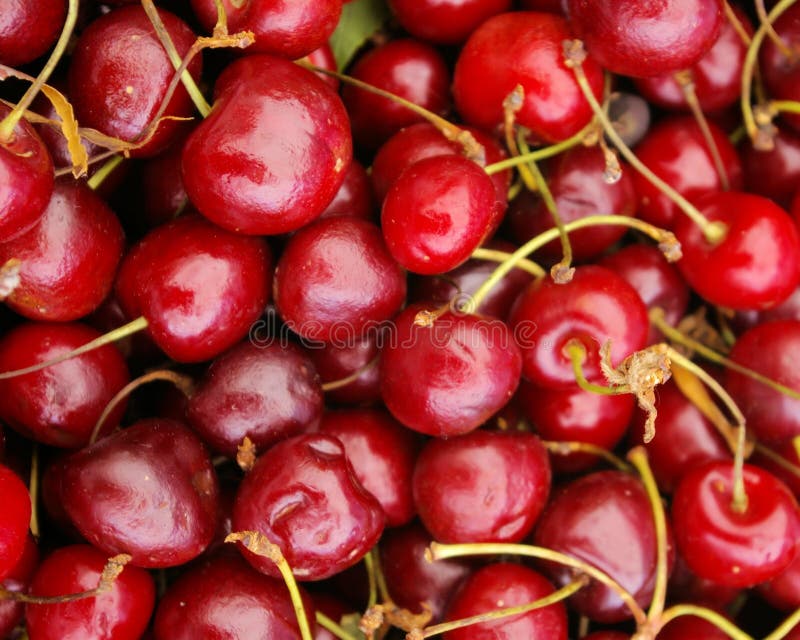 Cherries stock photo. Image of natural, sweet, fruits - 16008006