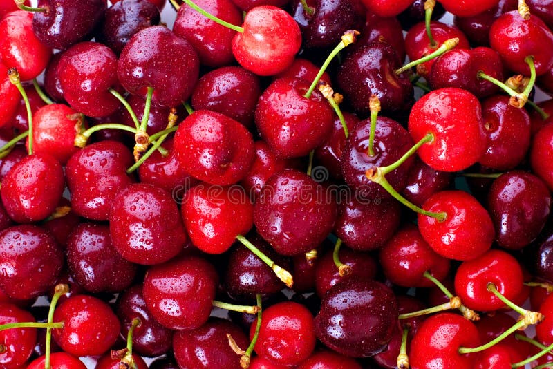 Cherries stock photo. Image of diet, nutrient, food, natural - 2487418