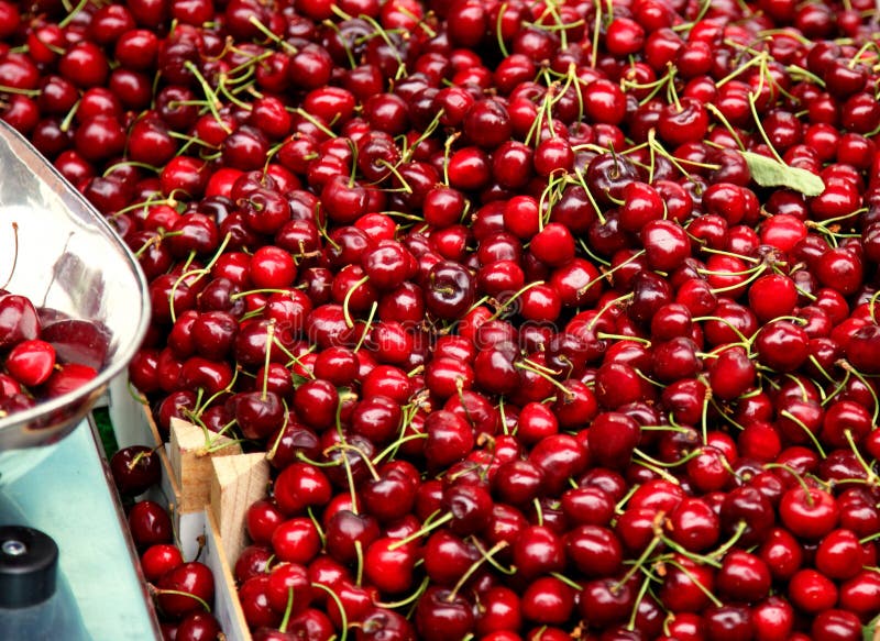 Cherries stock image. Image of cherries, food, healthy - 25204161