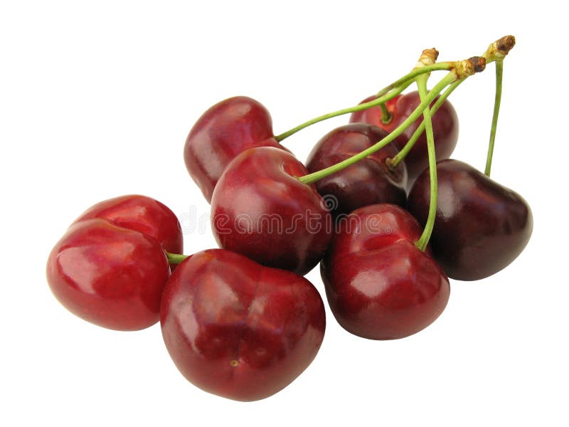 Cherries stock image. Image of fruit, bordo, cherry, fruits - 170503
