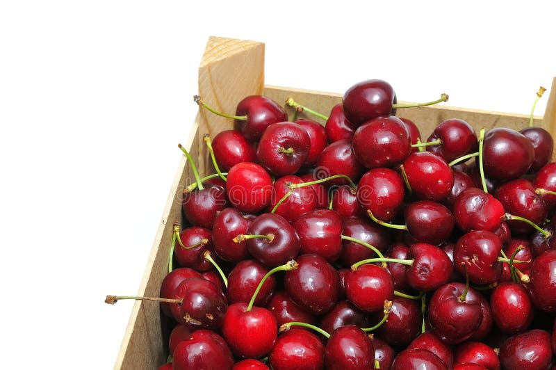 Cherries stock image. Image of cherries, food, healthy - 25204161