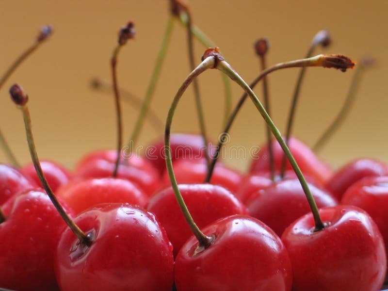Cherries stock image. Image of fruit, healthy, cherries - 334169