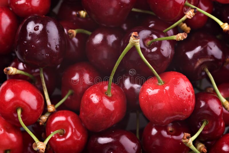 Cherries stock image. Image of summery, food, delicious - 15150377
