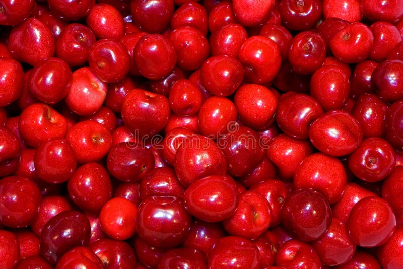 Cherries stock photo. Image of light, food, sweet, shiny - 5876818